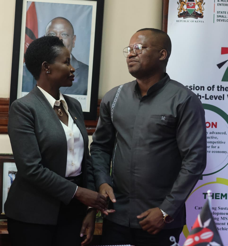 Ps Msmes Development Hosts United Nations Development Programme Team